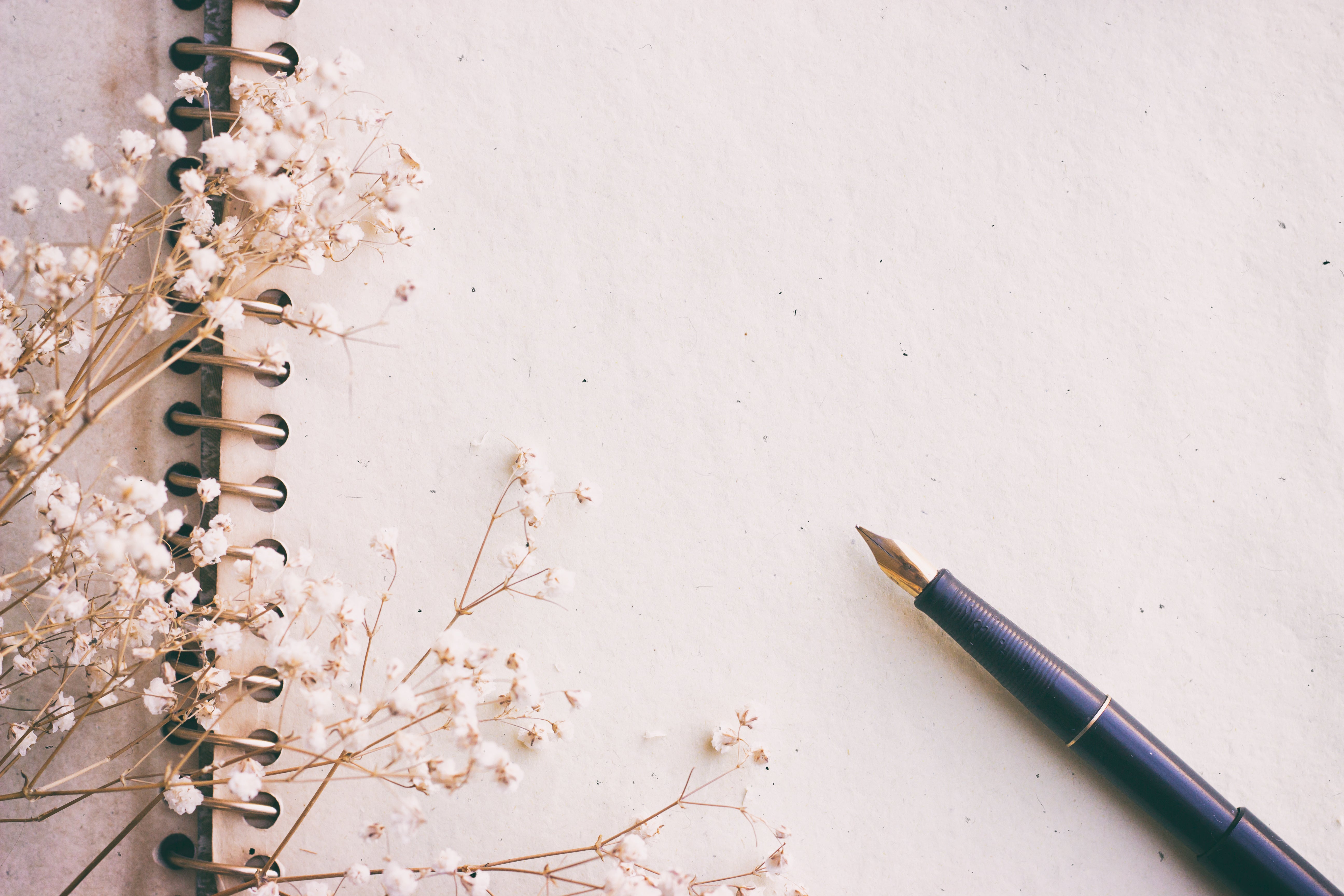 How to write thank you gift notes to make your loved ones feel special ...