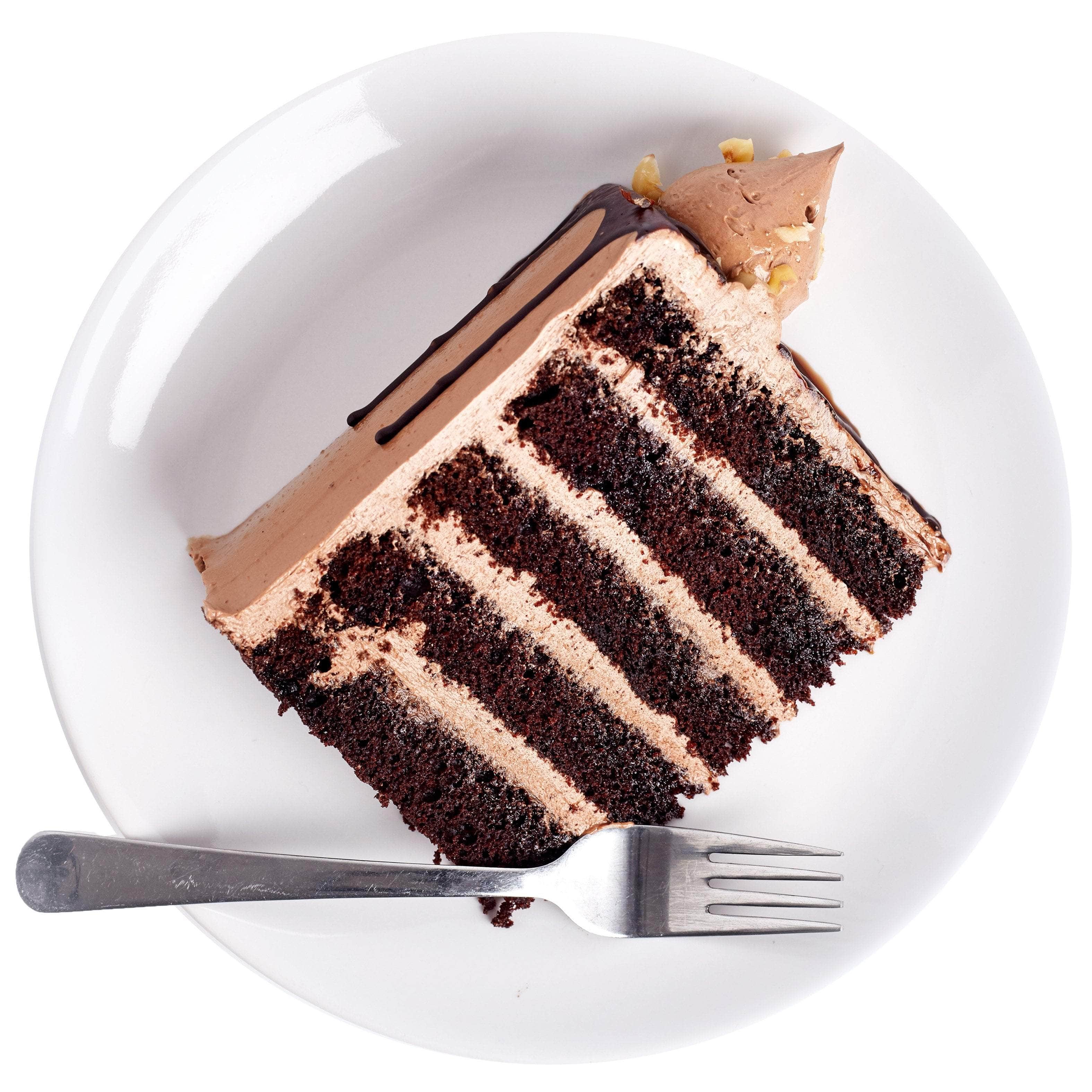 Chocolate Hazelnut Cake – Cutter & Squidge
